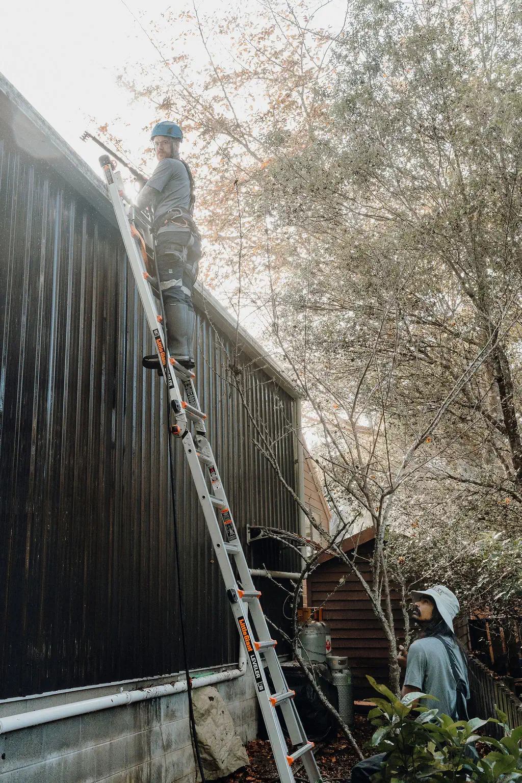 Extended Ladder Systems